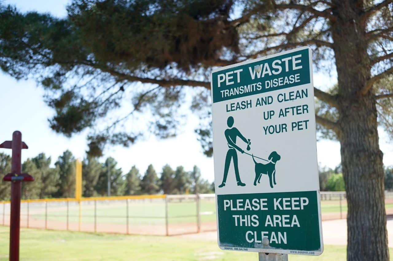 The Importance of Pet Waste Removal - Pawfect Poop Removal